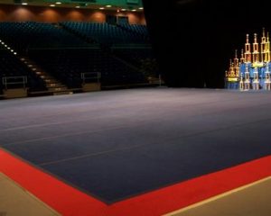 Gymnastics Equipment and Cheerleading Gym Essentials
